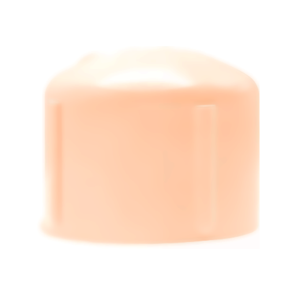 1/2 in. CPVC Threaded Cap Carisol-Plumbing 1-2 in. CPVC THRE CAP ...