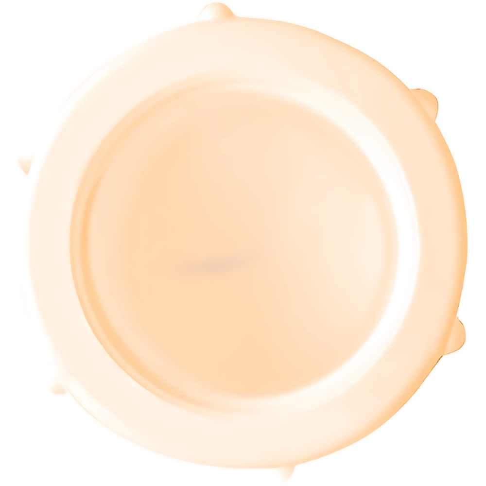 1/2 in. CPVC Threaded Cap Carisol-Plumbing 1-2 in. CPVC THRE CAP ...